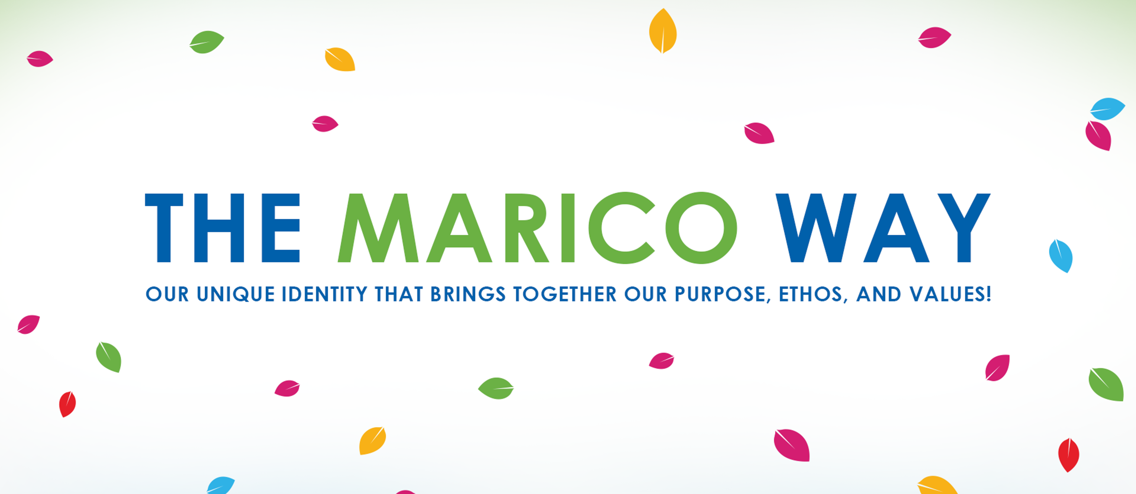 Marico Values & Culture